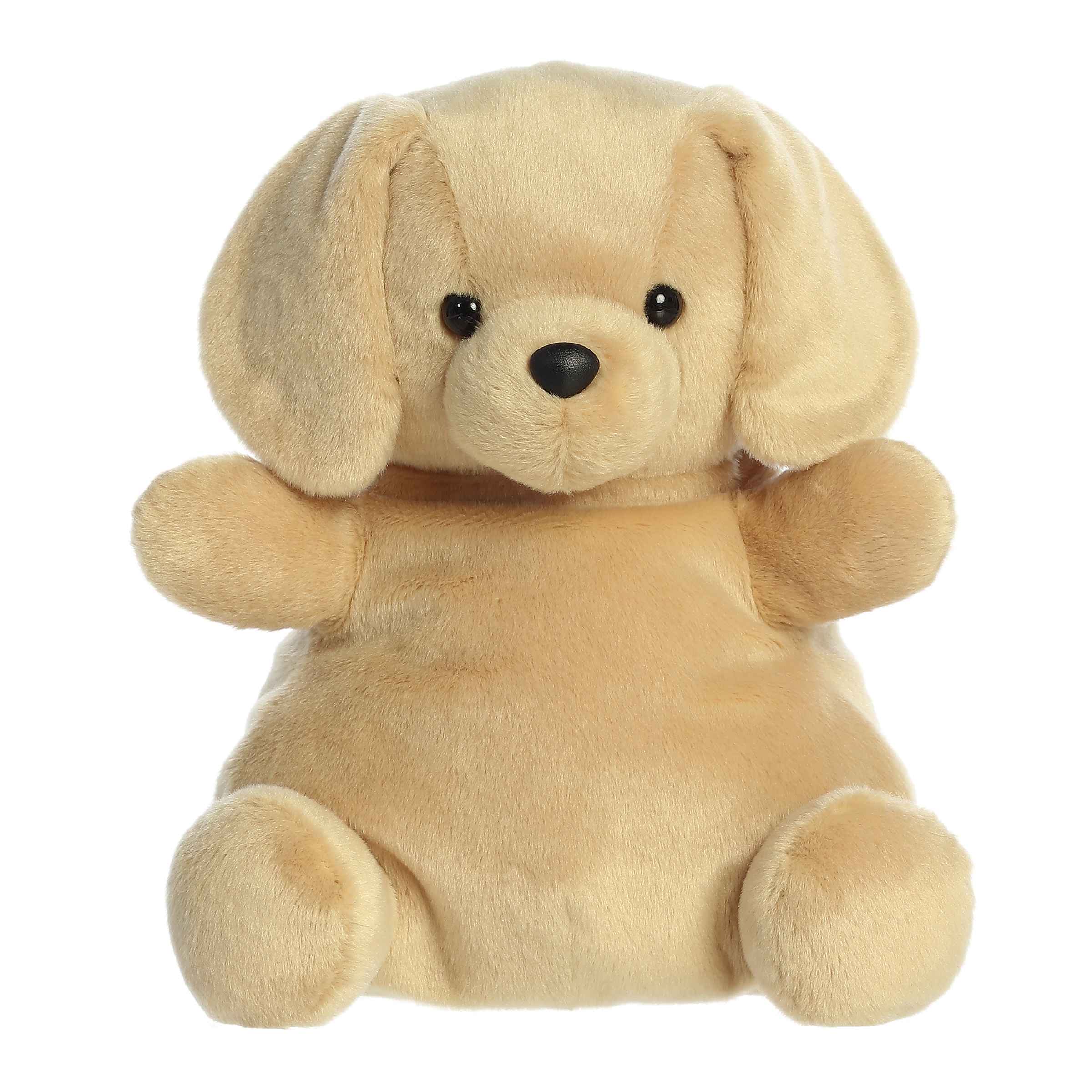 Sunny Lab (Extra Large) – Precious Thoughts